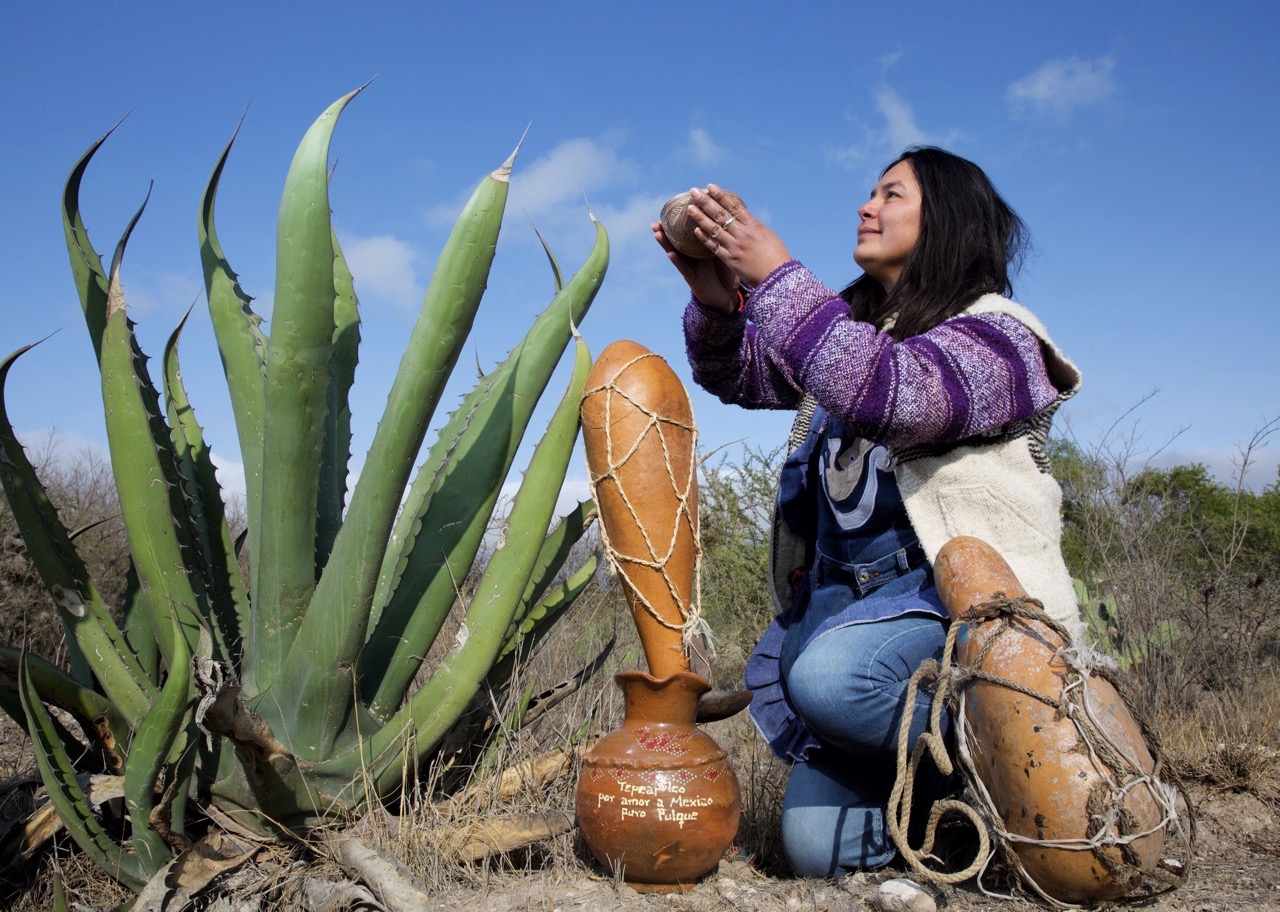 Chilango - Pulque Fest 2024: Te decimos cuándo y dónde