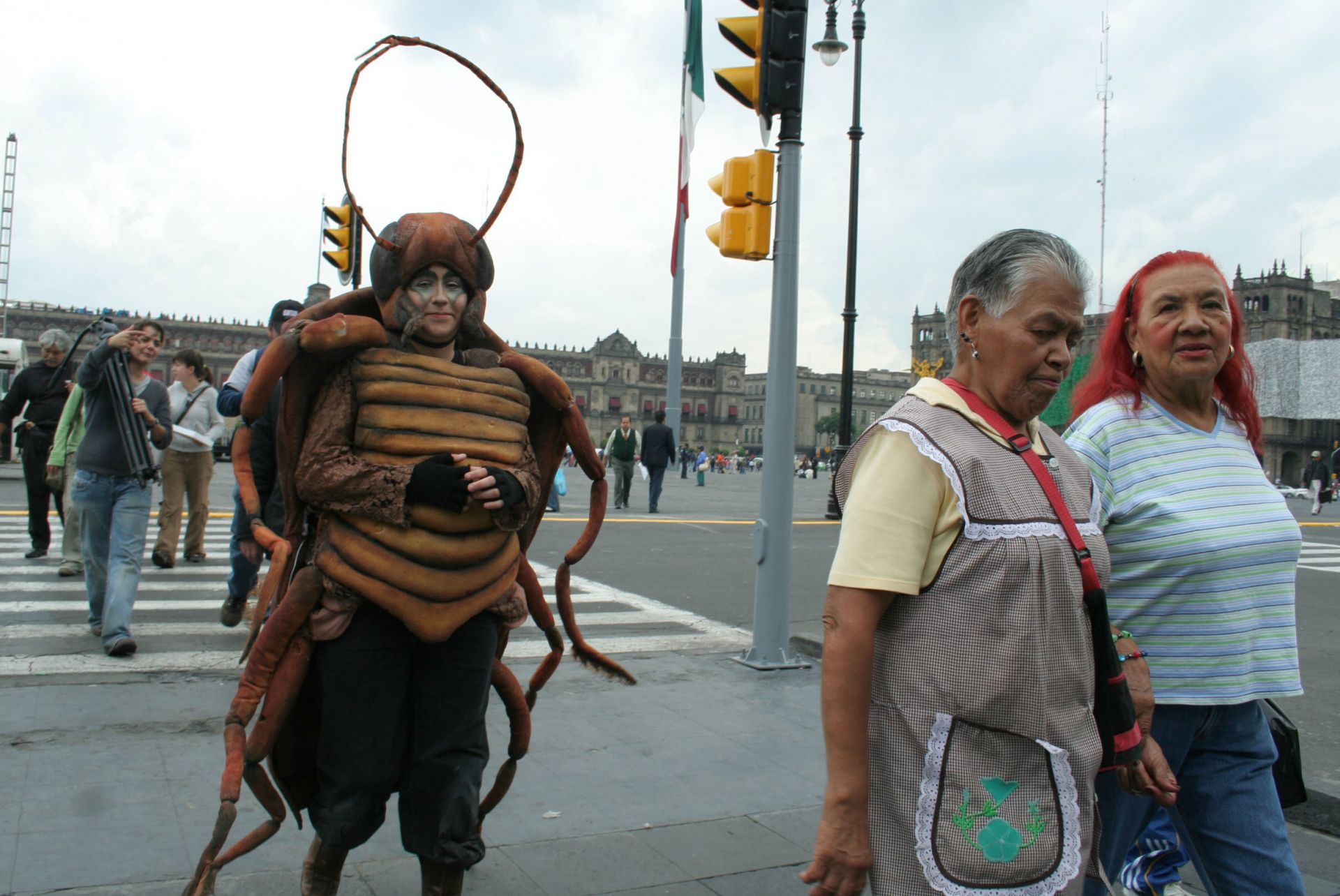 Chilango - Cucarachas en CDMX: qué tan peligrosas son y cómo eliminarlas