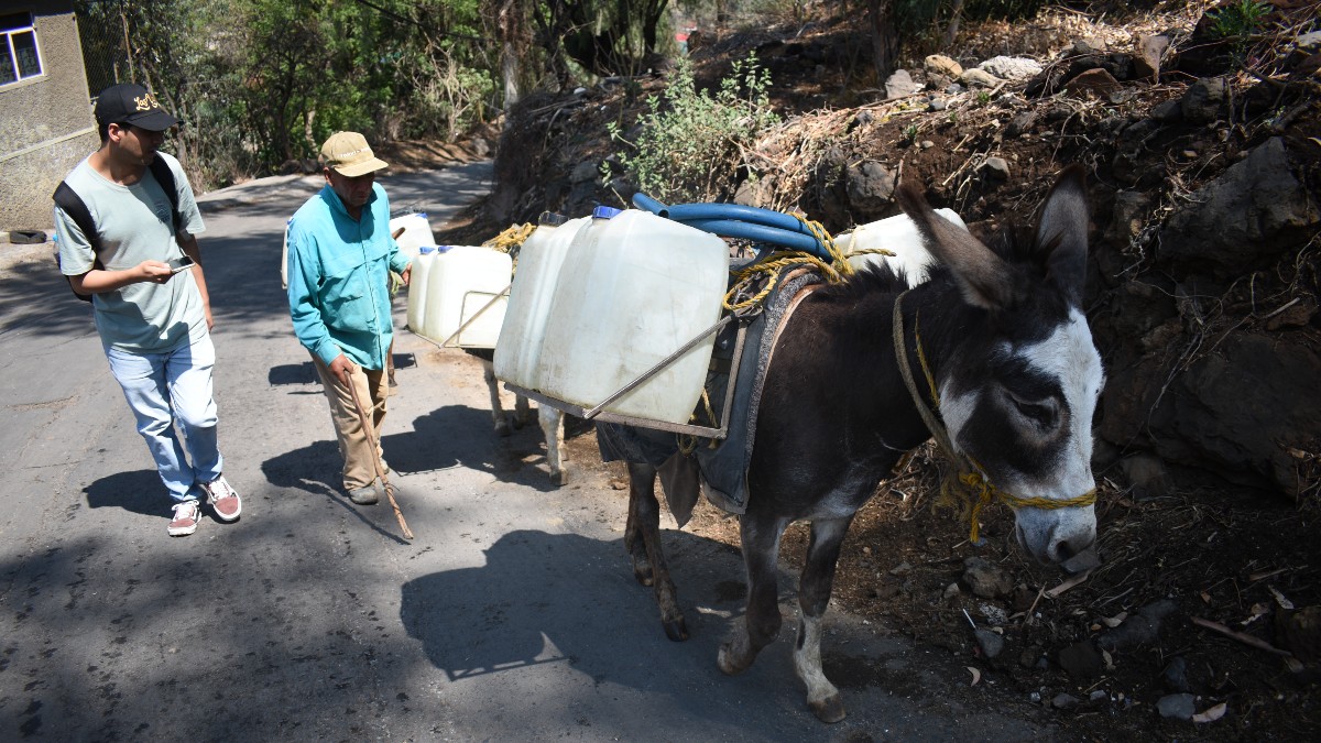 Chilango - Escasez de agua en CDMX: usan burros para repartir líquido