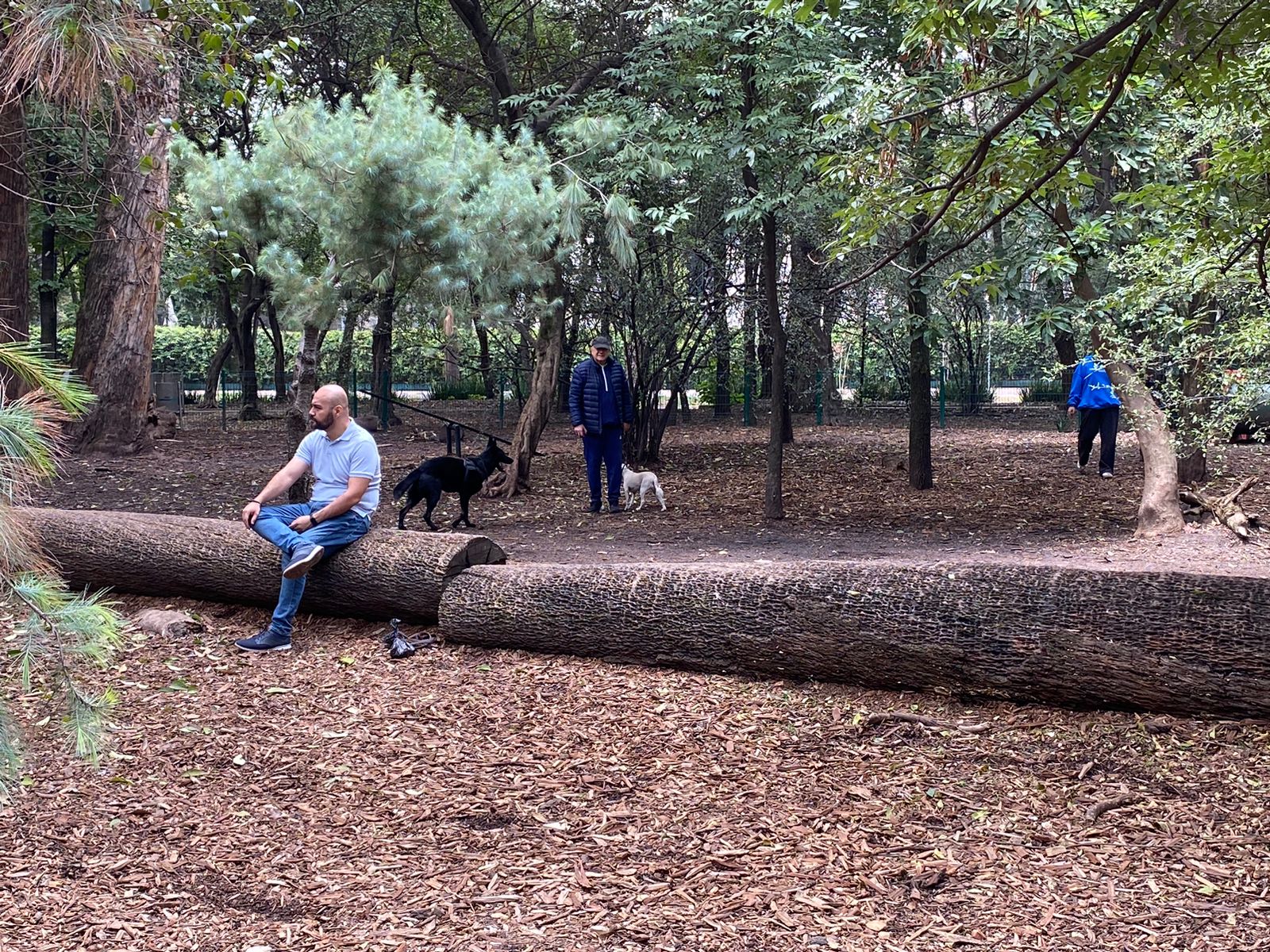 Chilango - Parque Gandhi de Chapultepec: Reabren el acceso a perros