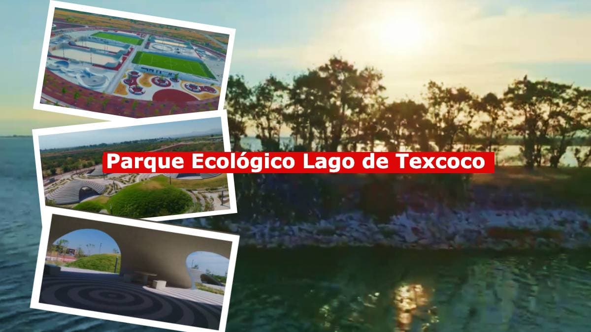 Chilango - Parque Ecológico Lago de Texcoco: cuándo se inaugura, qué ...