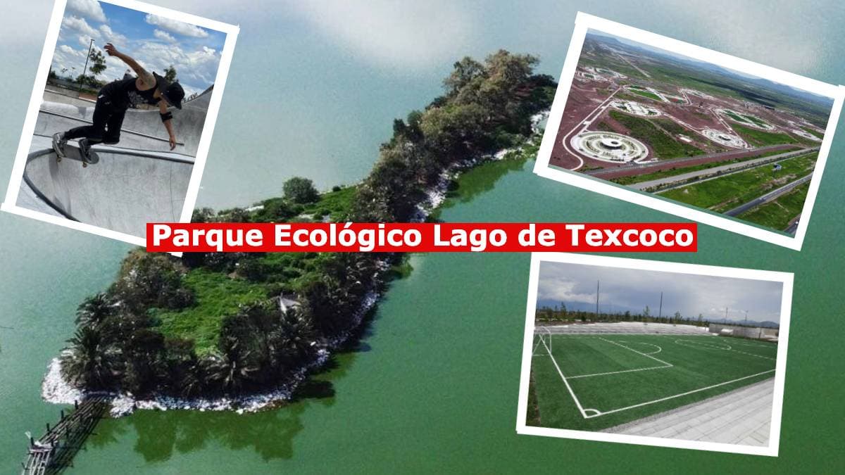 Chilango - Parque Ecológico Lago de Texcoco abre sus puertas: qué hay y ...