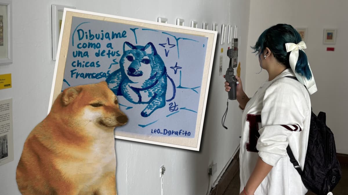 Chilango - ¿Qué hacer hoy en la CDMX?: Expo Cheems; horarios y precios