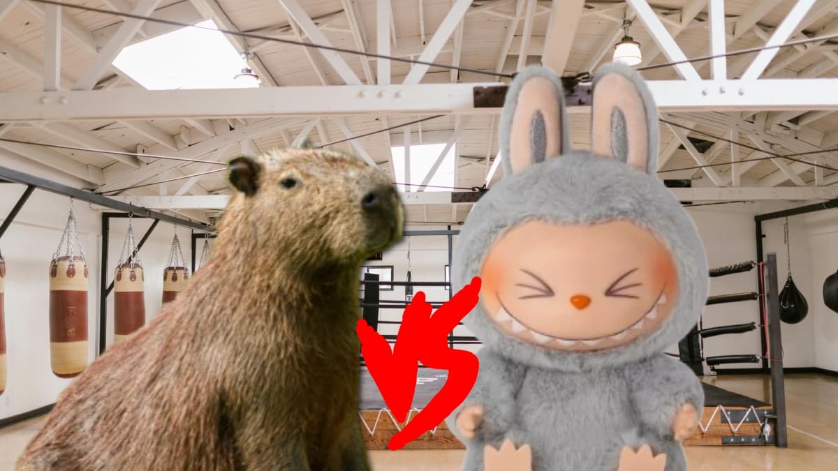 Chilango - Capibaras vs. Labubu: fecha, lugar y precio para ver este evento