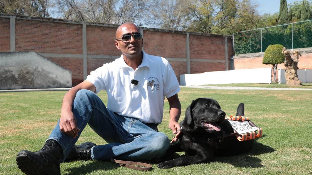 Chilango - ¿Cómo entrenan a perros guía para ciegos en CDMX? Así trabajan