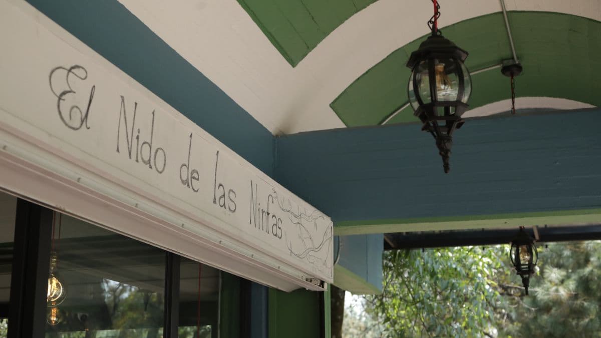 Chilango - El nido de las ninfas: Nueva cafetería del Bosque de Chapultepec