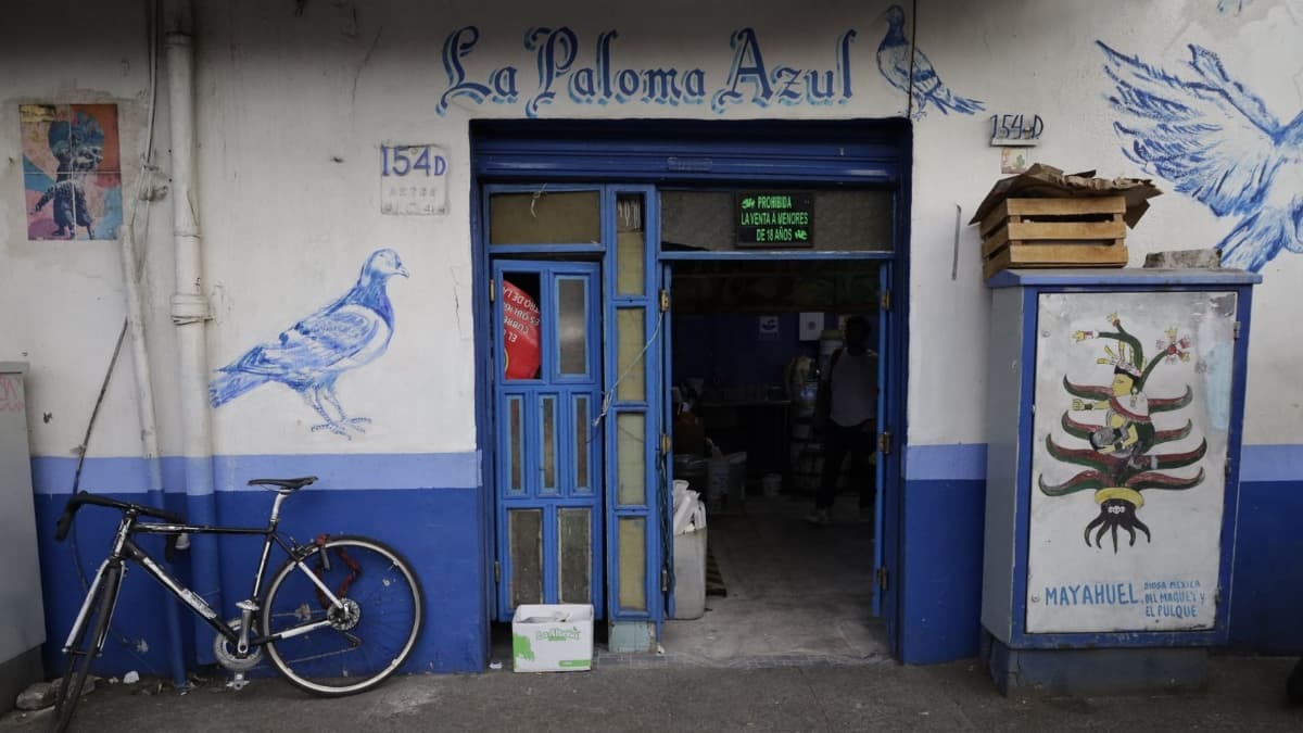 Chilango - Pulquería La Paloma Azul en CDMX: curados, precios y su historia