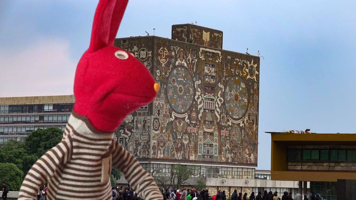 Chilango - 31 Minutos en México: La voz de Bodoque visitará la UNAM