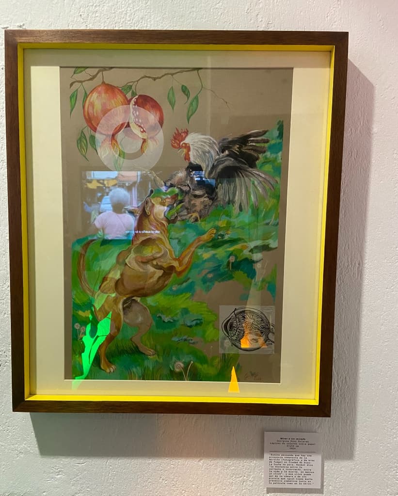 De Río de Janeiro a CDMX; inauguran en México expo inspirada en la ...